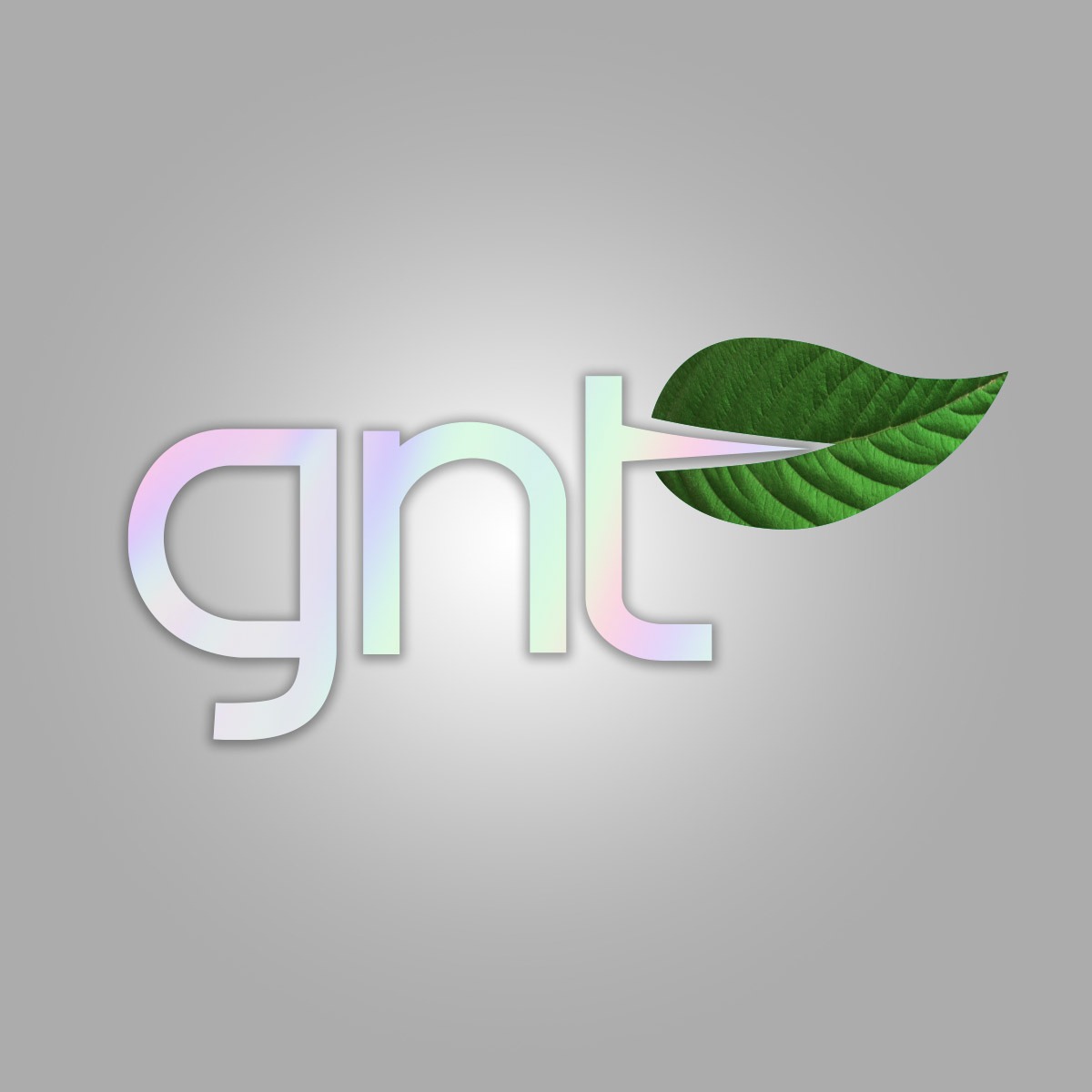 Toko Online GNT Indonesia | Shopee Indonesia