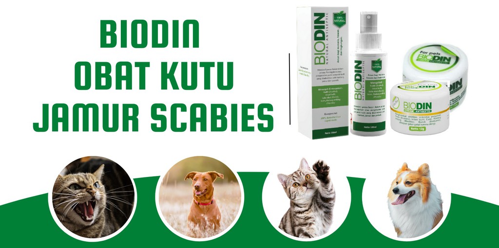 Produk BIODIN Official | Shopee Indonesia