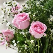 Produk rendara_store | Shopee Indonesia