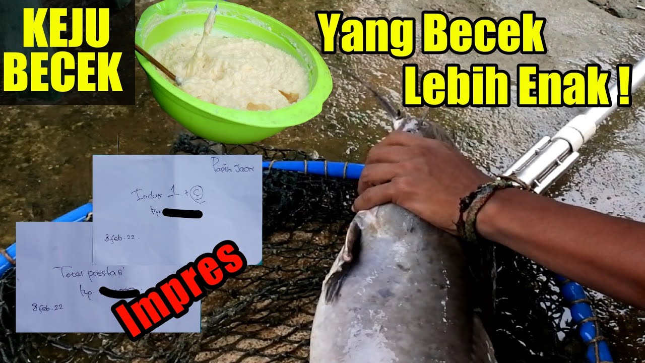 Produk GENTAK PANCING | Shopee Indonesia