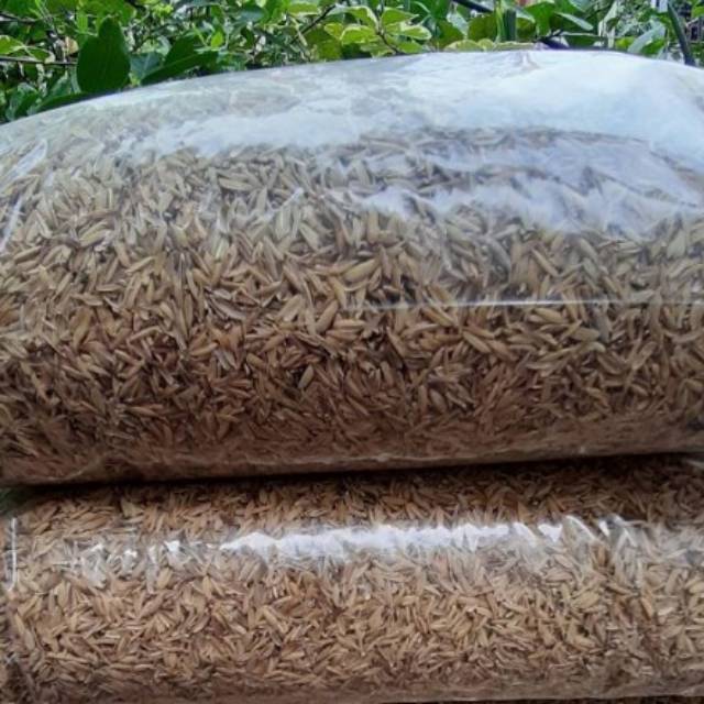 Produk Dilfa Agroshop | Shopee Indonesia