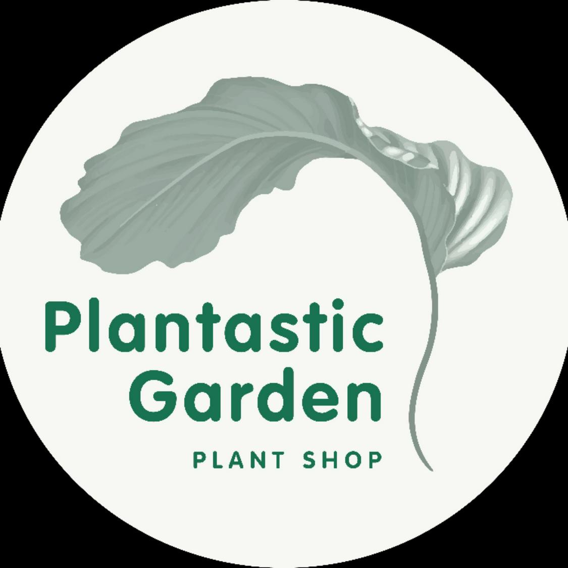 Produk Plantastic.Garden | Shopee Indonesia
