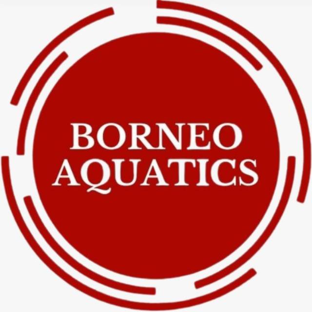 Produk Borneo Aquatics | Shopee Indonesia