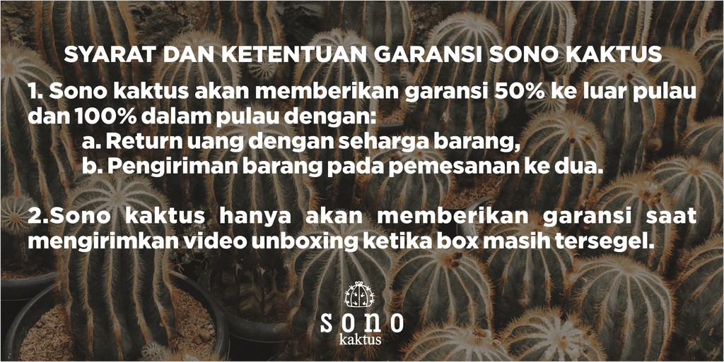 Produk sono kaktus | Shopee Indonesia