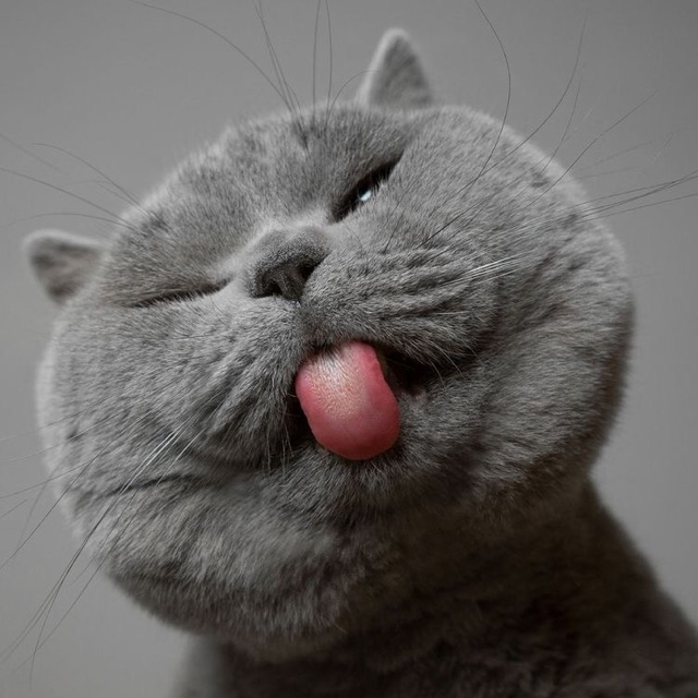 Produk whoops_store | Shopee Indonesia