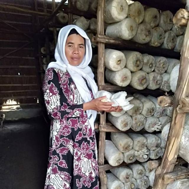 Produk TUKUL BERSAMA | Shopee Indonesia