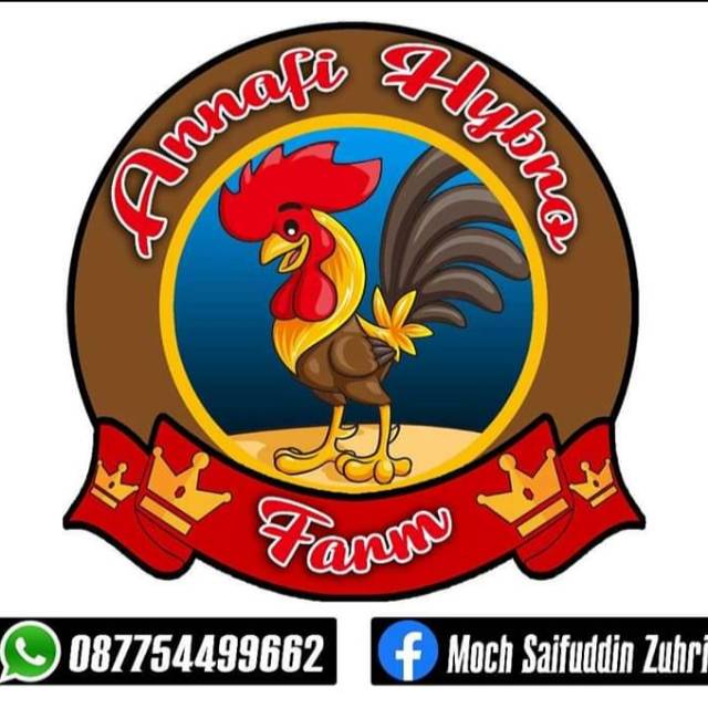 Produk Annafi Store' | Shopee Indonesia