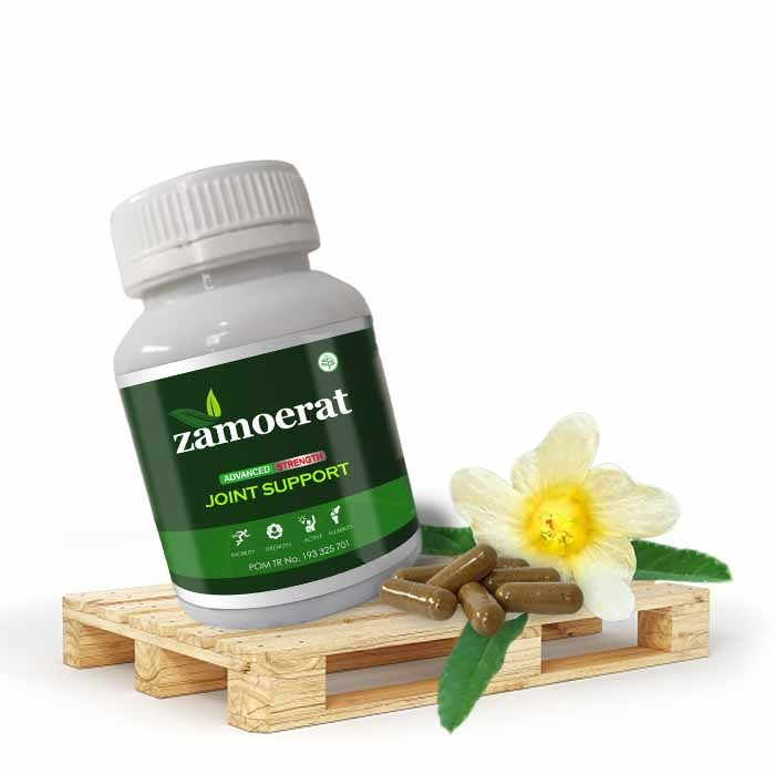 Produk Zamoerat Official | Shopee Indonesia