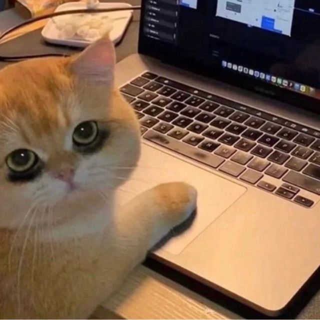 Produk Ecomom | Shopee Indonesia