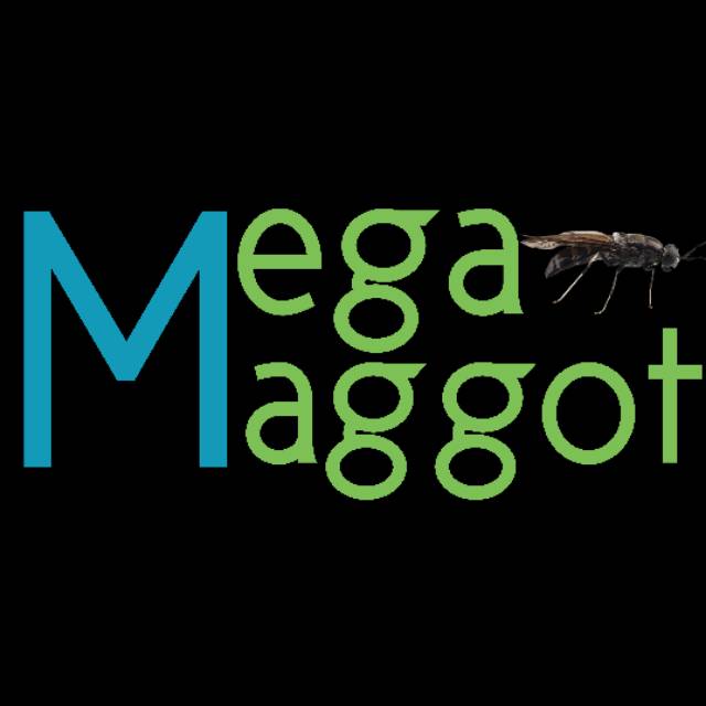 Produk Mega Maggot | Shopee Indonesia