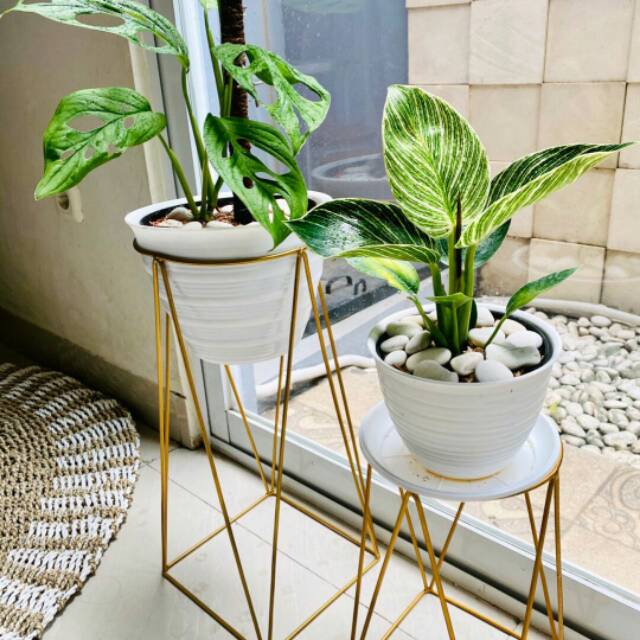 Produk XL Store | Shopee Indonesia