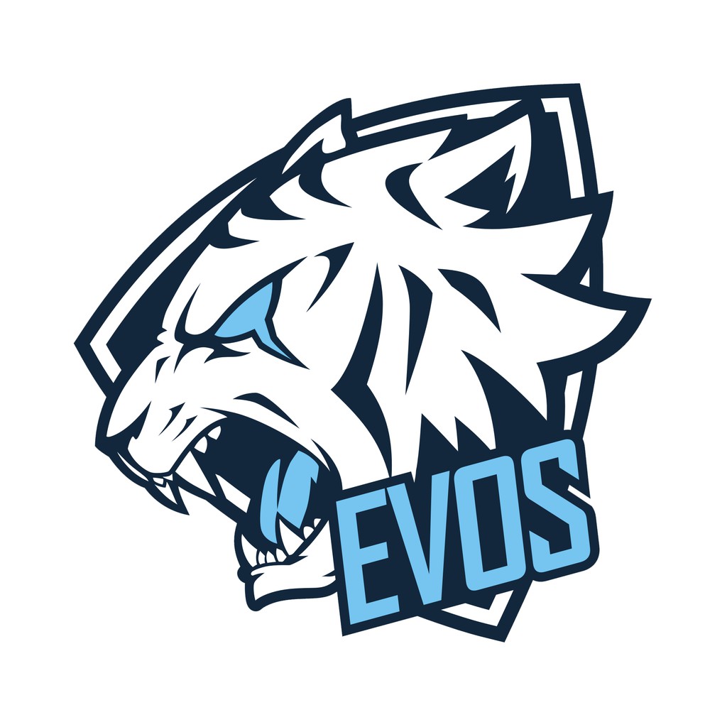 Toko Online Evos Esports Official Shop | Shopee Indonesia