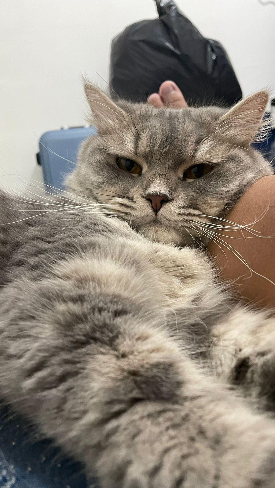 Produk Preloved Device | Shopee Indonesia