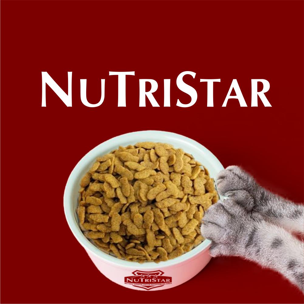 Produk Nutristar Cat Food | Shopee Indonesia