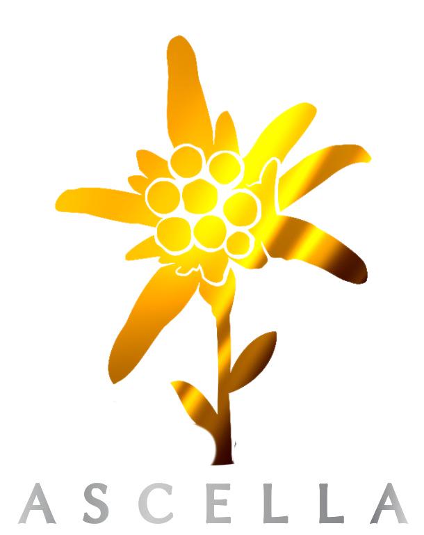 Produk Ascella Official | Shopee Indonesia