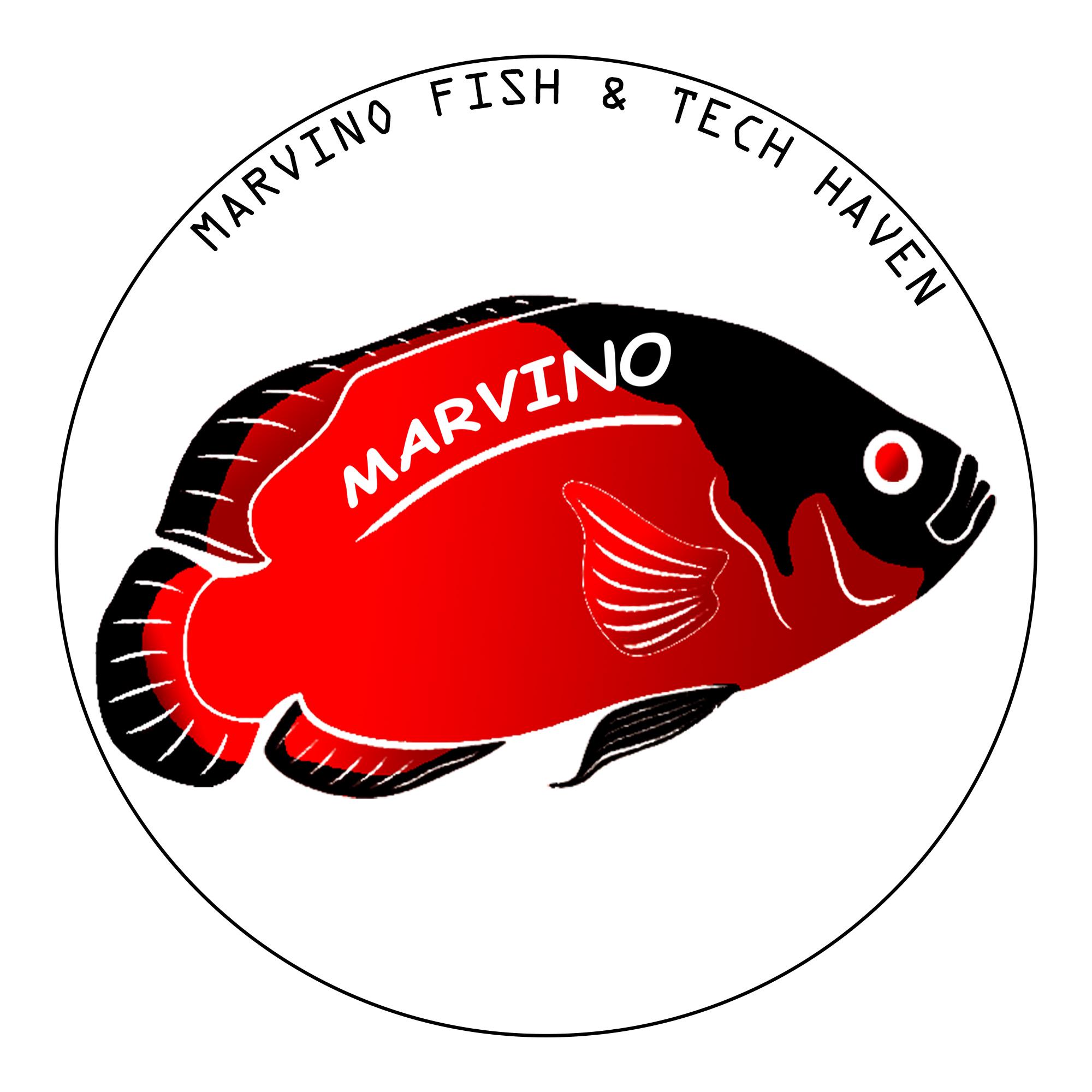Produk Marvino Fish and Tech Haven | Shopee Indonesia