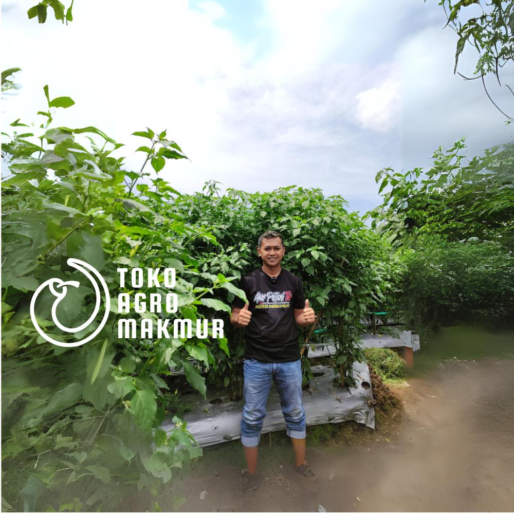 Produk Toko Mas Udin Agro Makmur | Shopee Indonesia