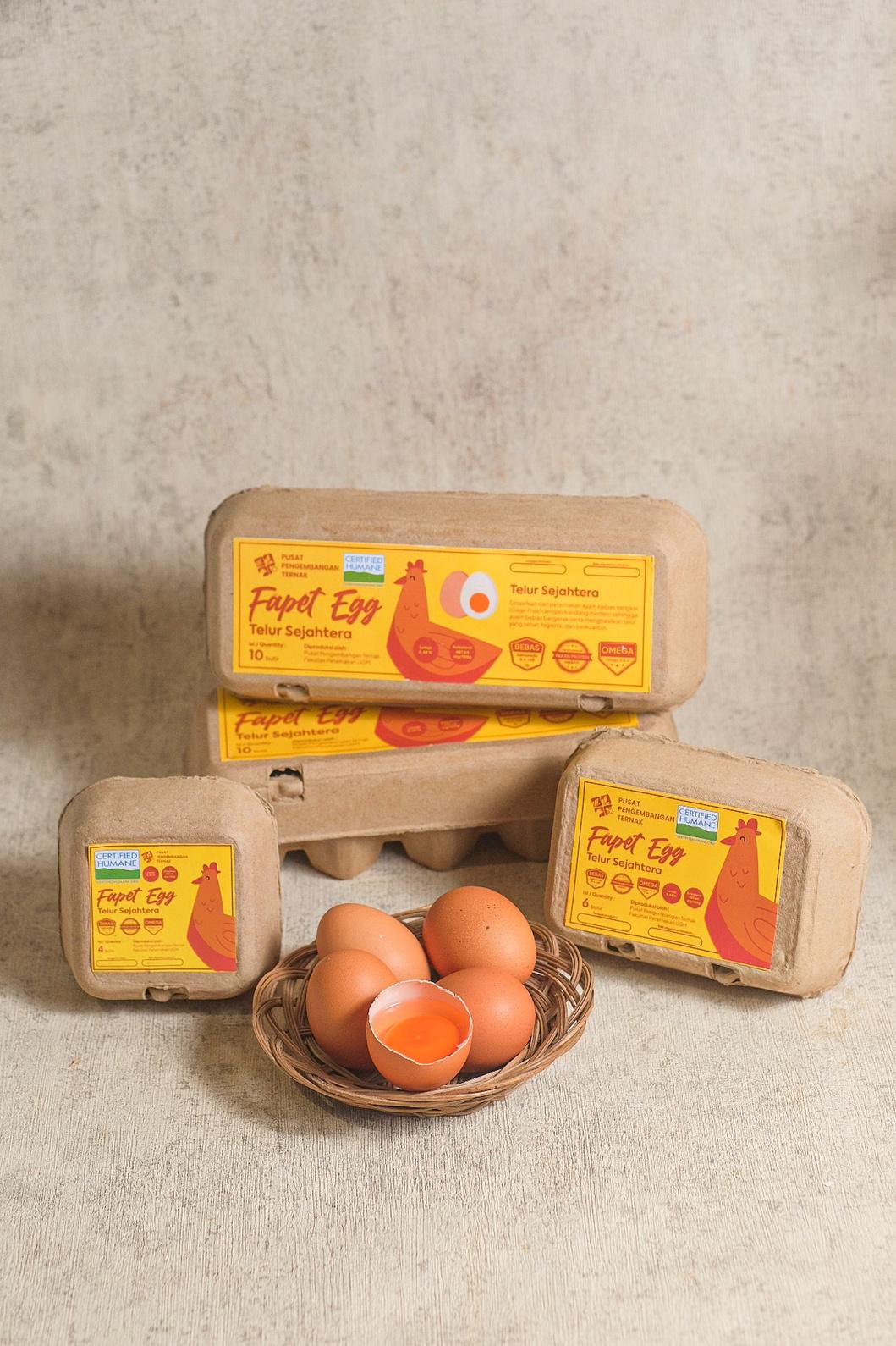 Produk Fapet Food | Shopee Indonesia
