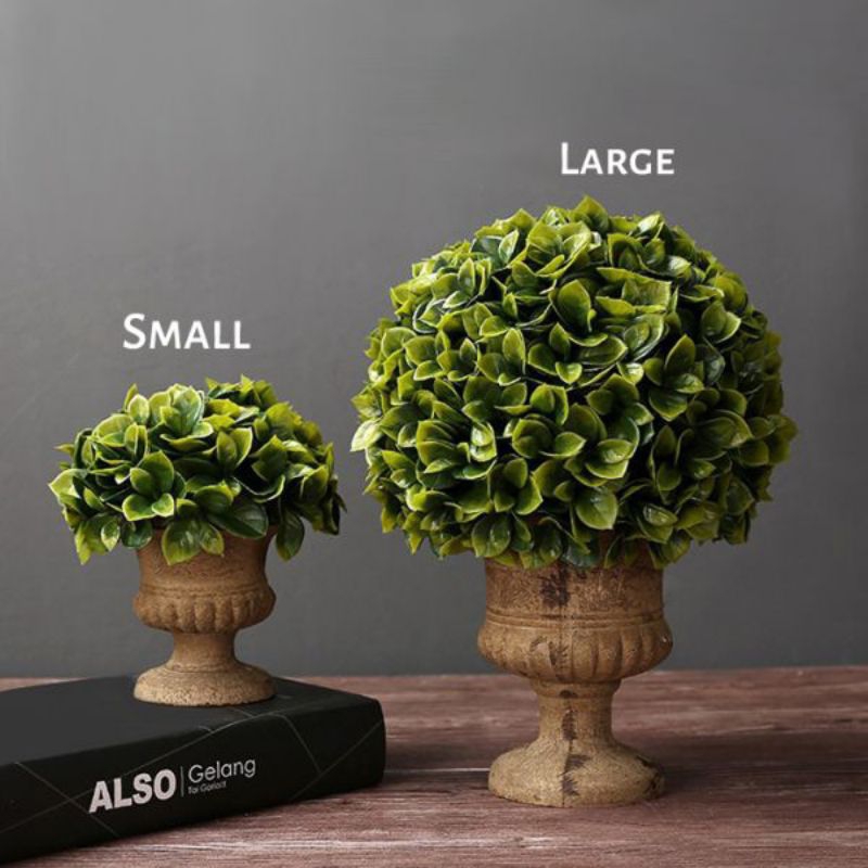 Produk Cece Flower House | Shopee Indonesia