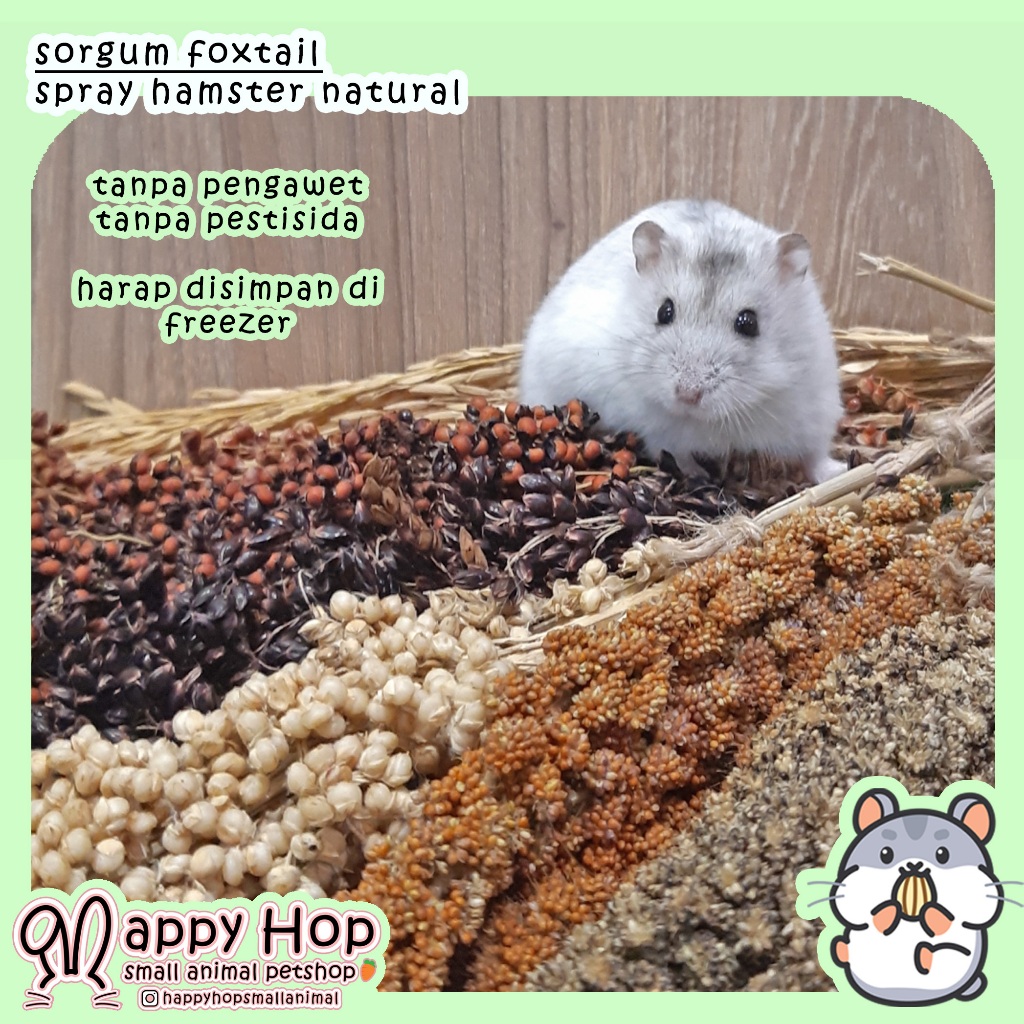 Produk Happy Hop | Shopee Indonesia