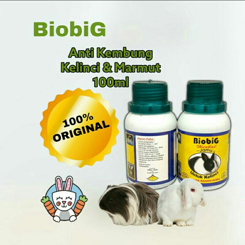 Produk alika farm rabbits | Shopee Indonesia