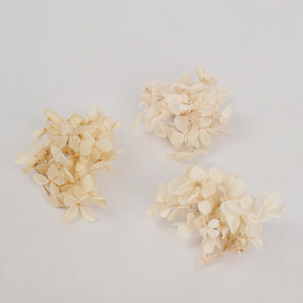 Produk Cece Flower House | Shopee Indonesia