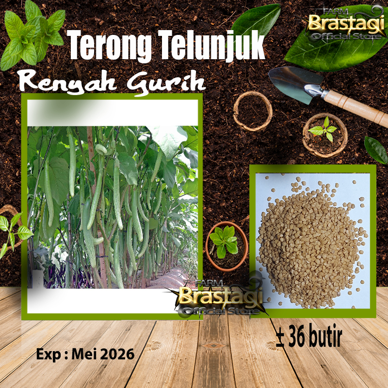 Produk Farm Brastagi Official Store | Shopee Indonesia