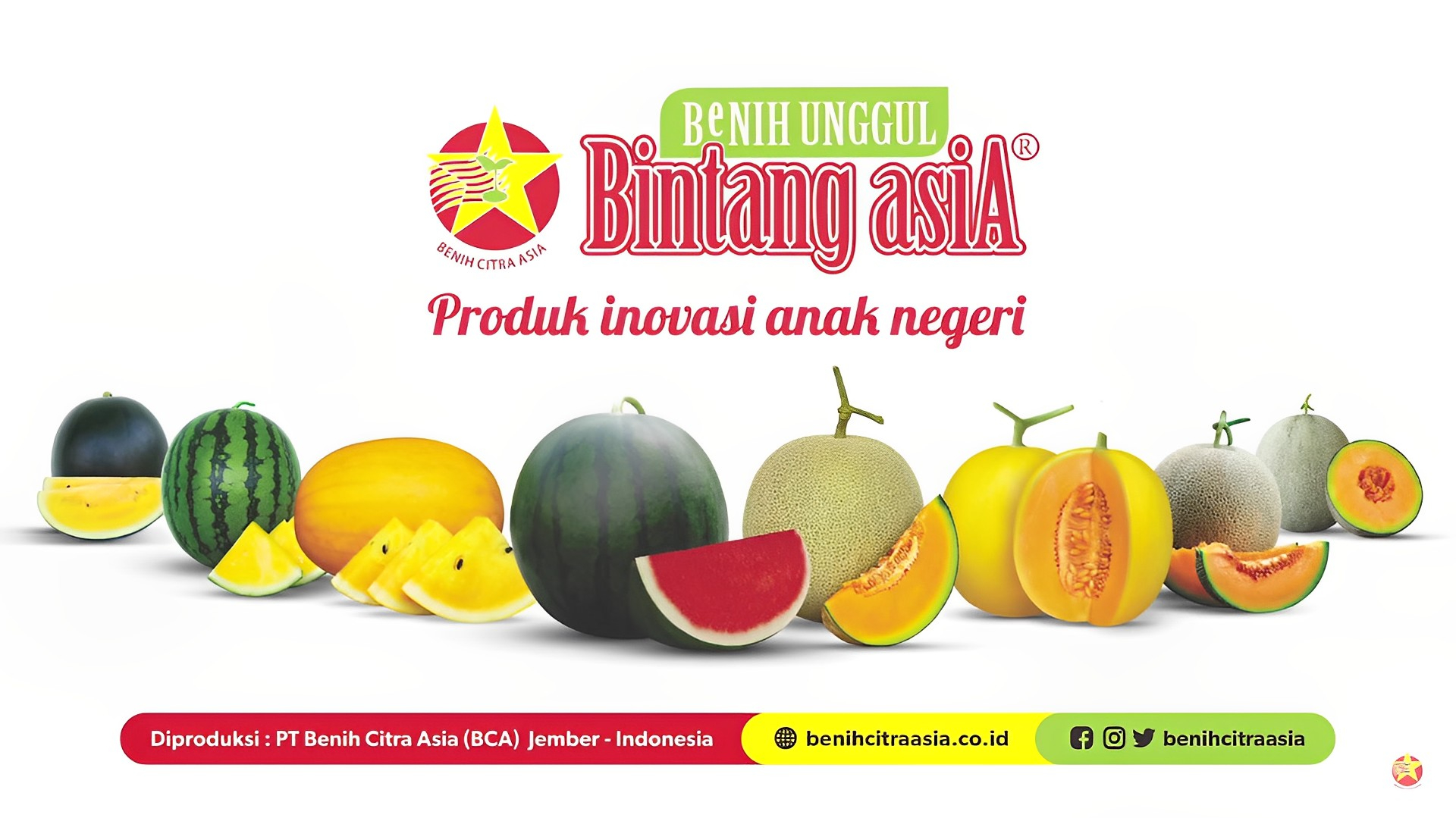 Produk Benih Citra Asia | Shopee Indonesia