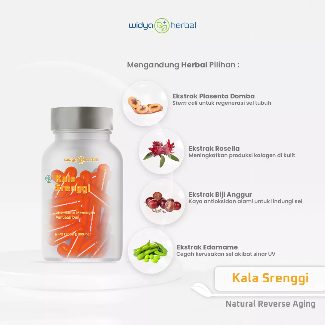 Produk Widya Herbal Indonesia | Shopee Indonesia