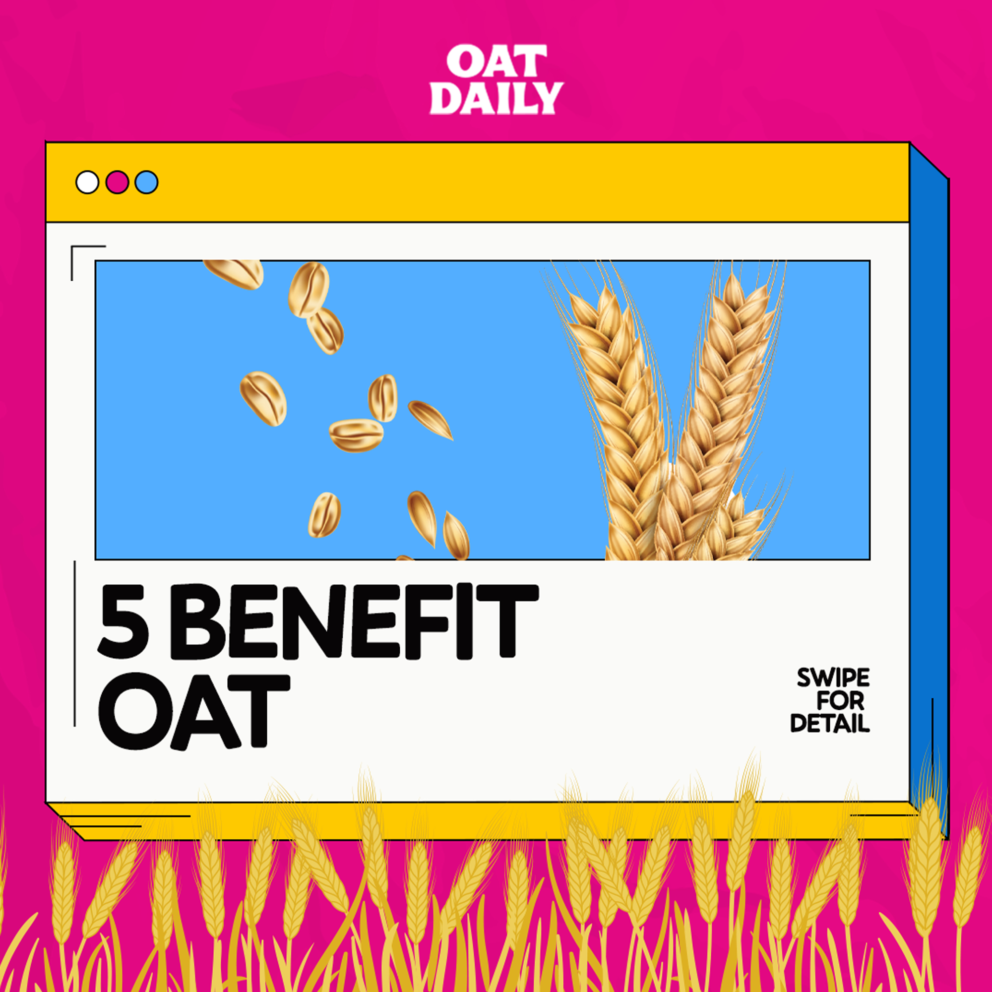 Produk OAT DAILY | Shopee Indonesia