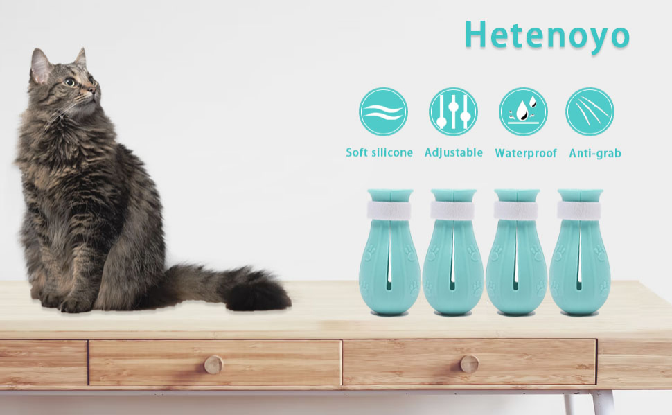 Produk BuddyPet Official | Shopee Indonesia