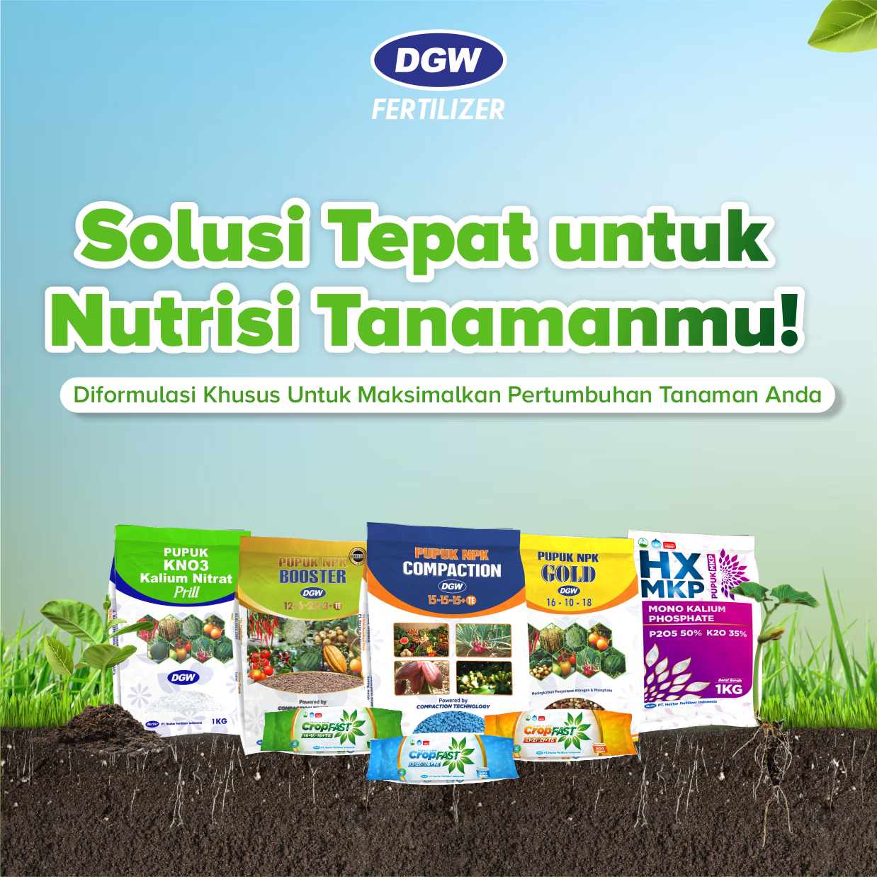 Produk DGW Official | Shopee Indonesia