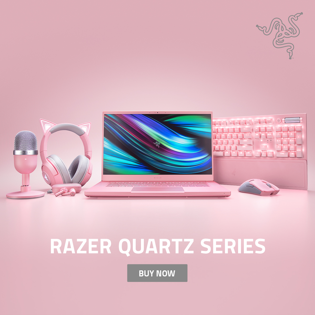 Toko Online Razer Flagship Store | Shopee Indonesia