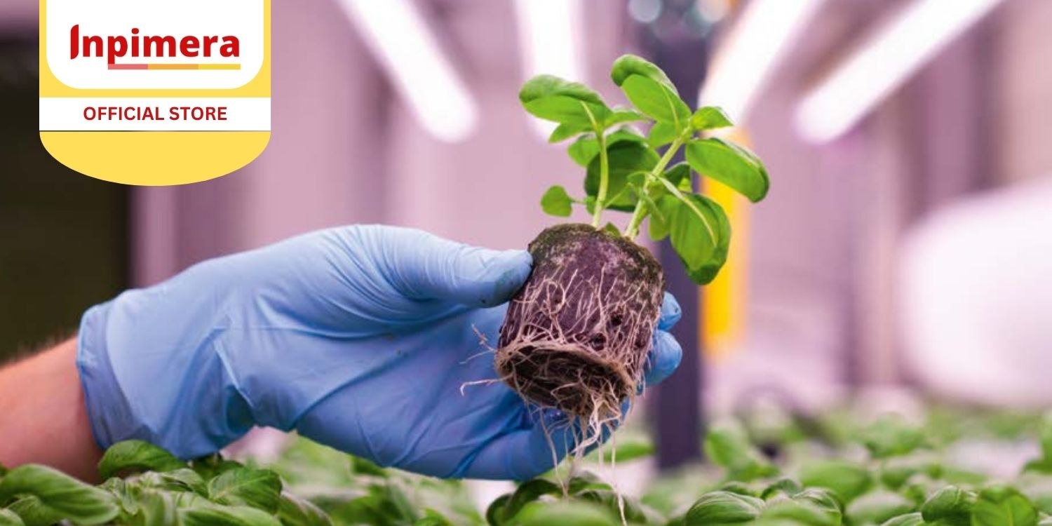 Toko Online Jiffy Official Store | Shopee Indonesia