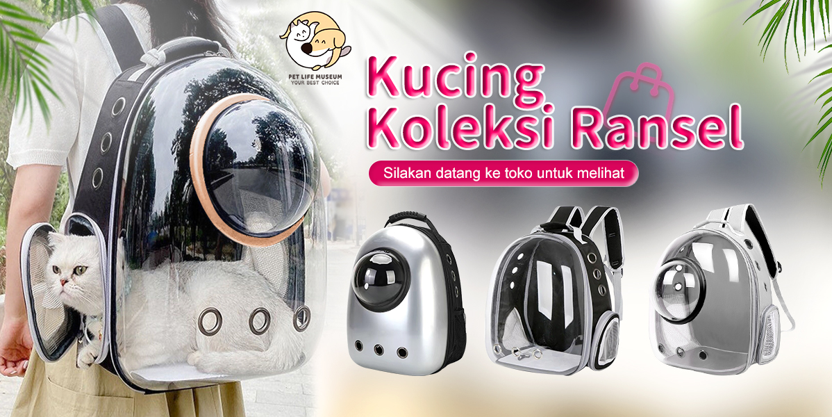 Produk Pet Life Museum | Shopee Indonesia