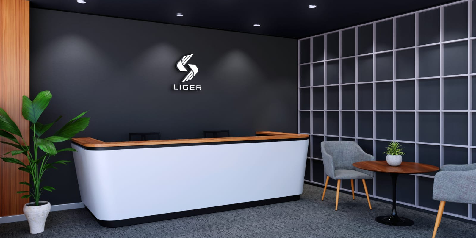 Toko Online Liger Official Store | Shopee Indonesia
