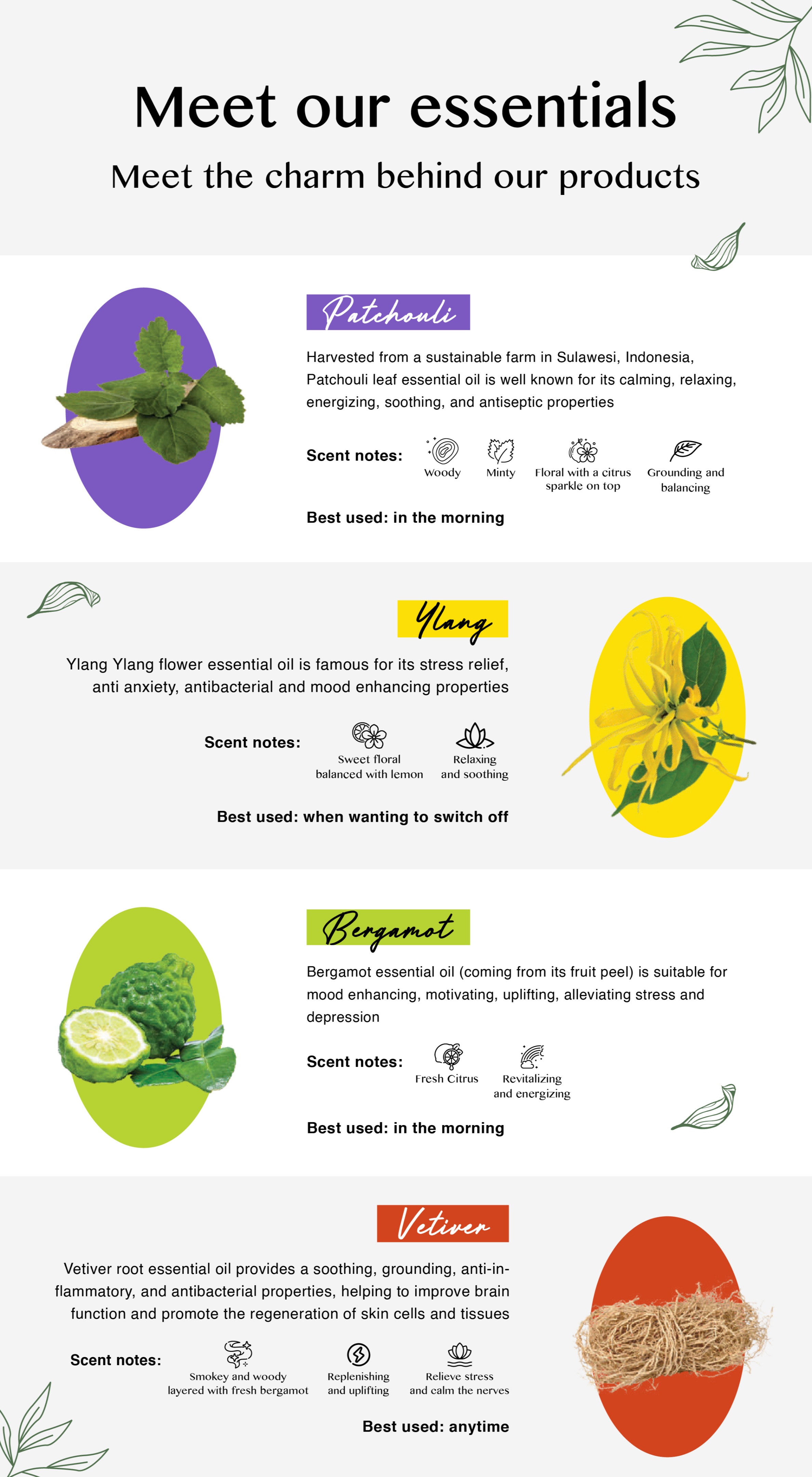 Toko Online Botanical Essentials Official Shop | Shopee Indonesia