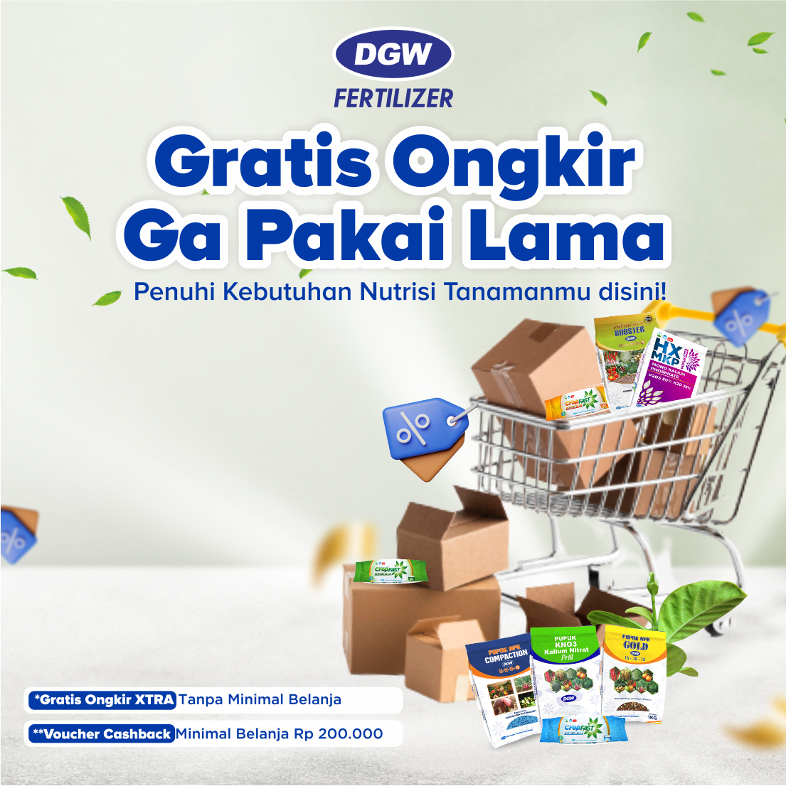 Produk DGW Official | Shopee Indonesia