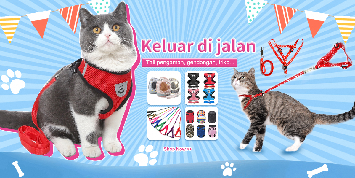 Produk Pet Life Museum | Shopee Indonesia