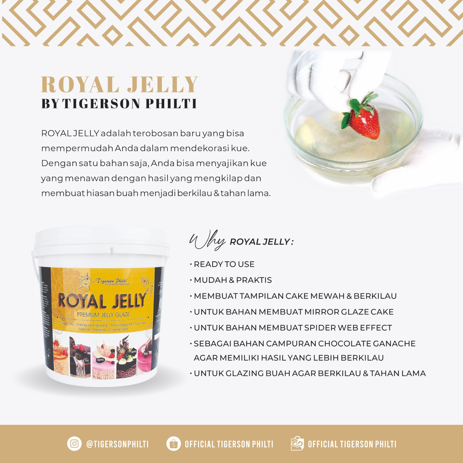 Produk Official Tigerson Philti | Shopee Indonesia