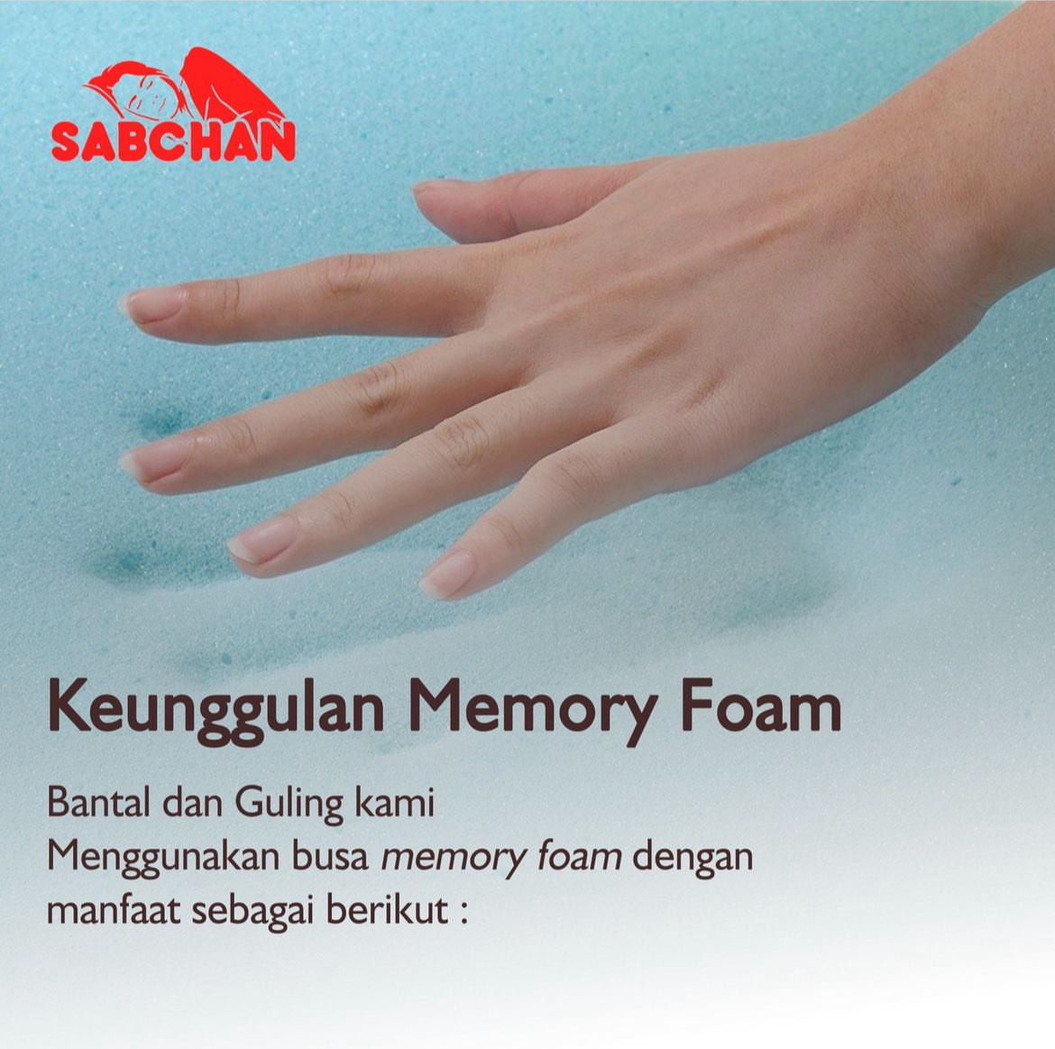 Toko Online Sabchan Official Store | Shopee Indonesia