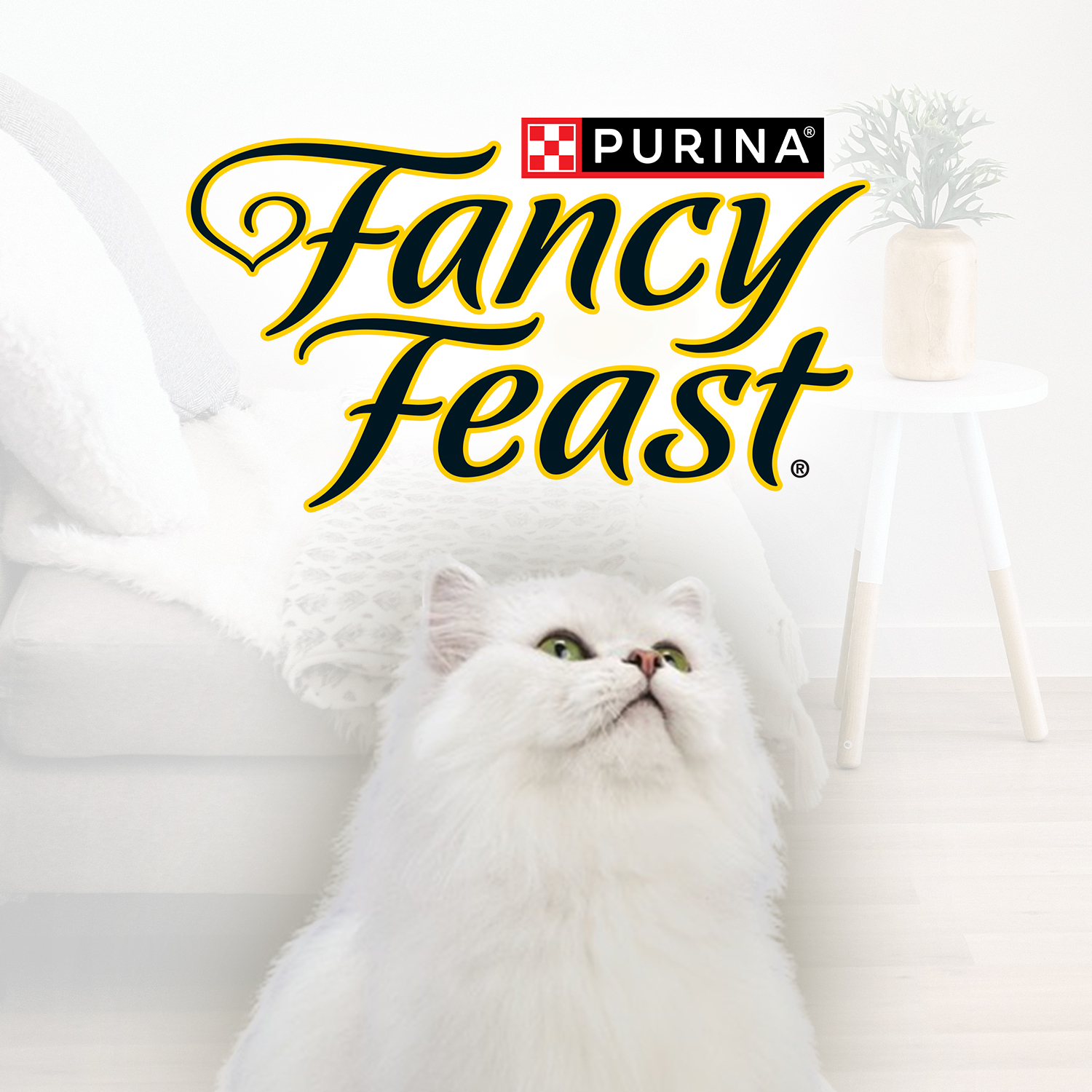 Toko Online Nestlé Purina Pet Care Official Shop | Shopee Indonesia