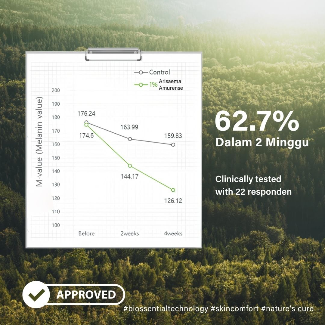Toko Online YAGI Forest Official Store | Shopee Indonesia