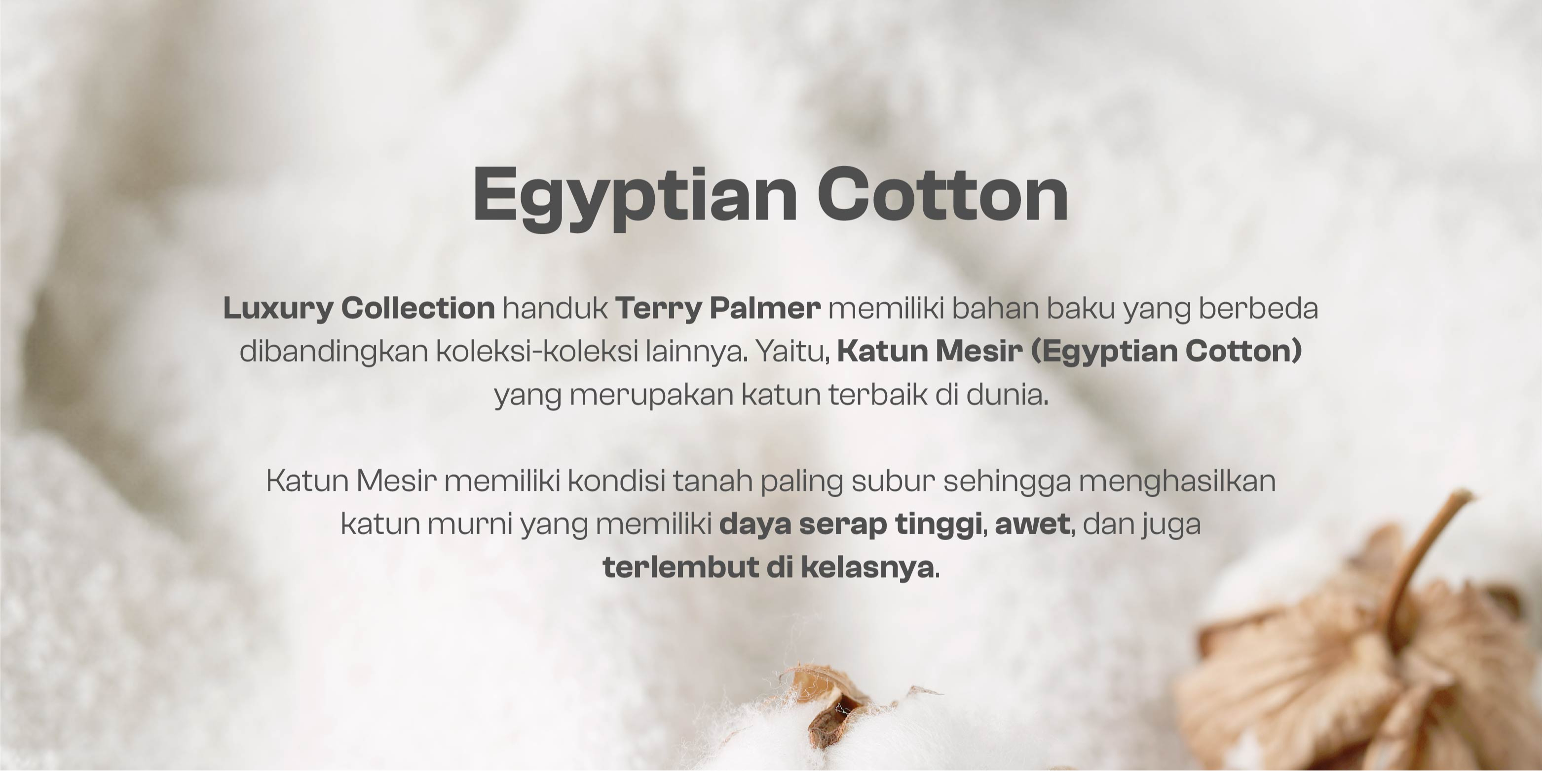 Toko Online Terry Palmer Indonesia | Shopee Indonesia