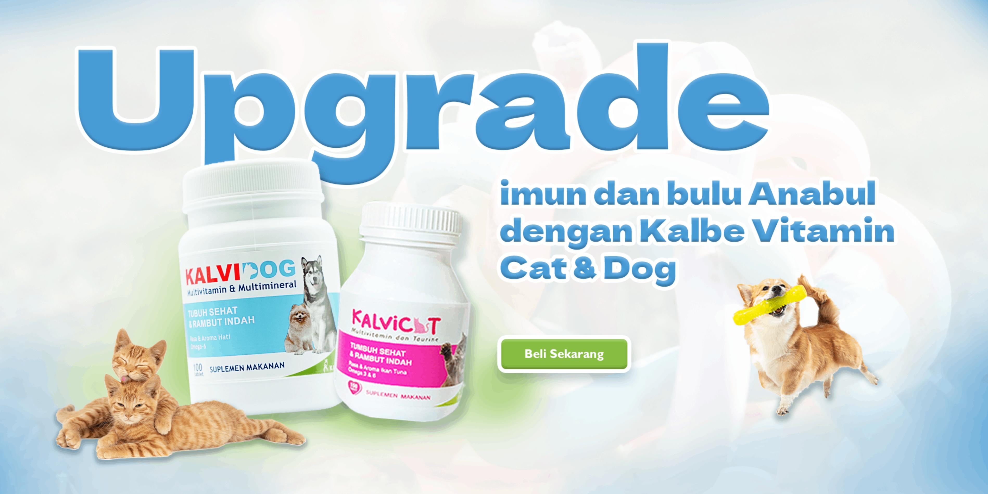 Toko Online Kalbe Animal Health Official store | Shopee Indonesia