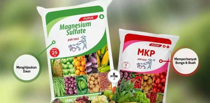 Produk Toko_SAM | Shopee Indonesia