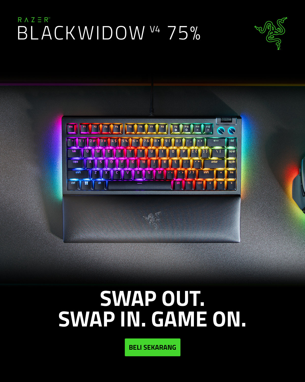 Toko Online Razer Flagship Store | Shopee Indonesia