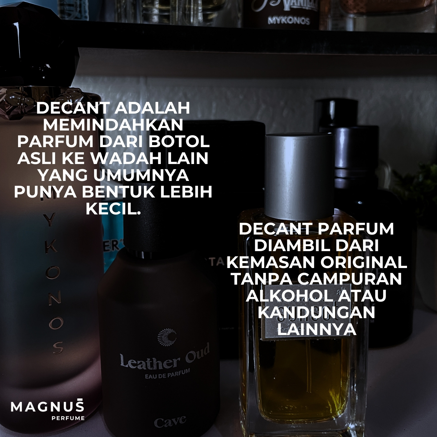 Produk MAGNUS PERFUME | Shopee Indonesia