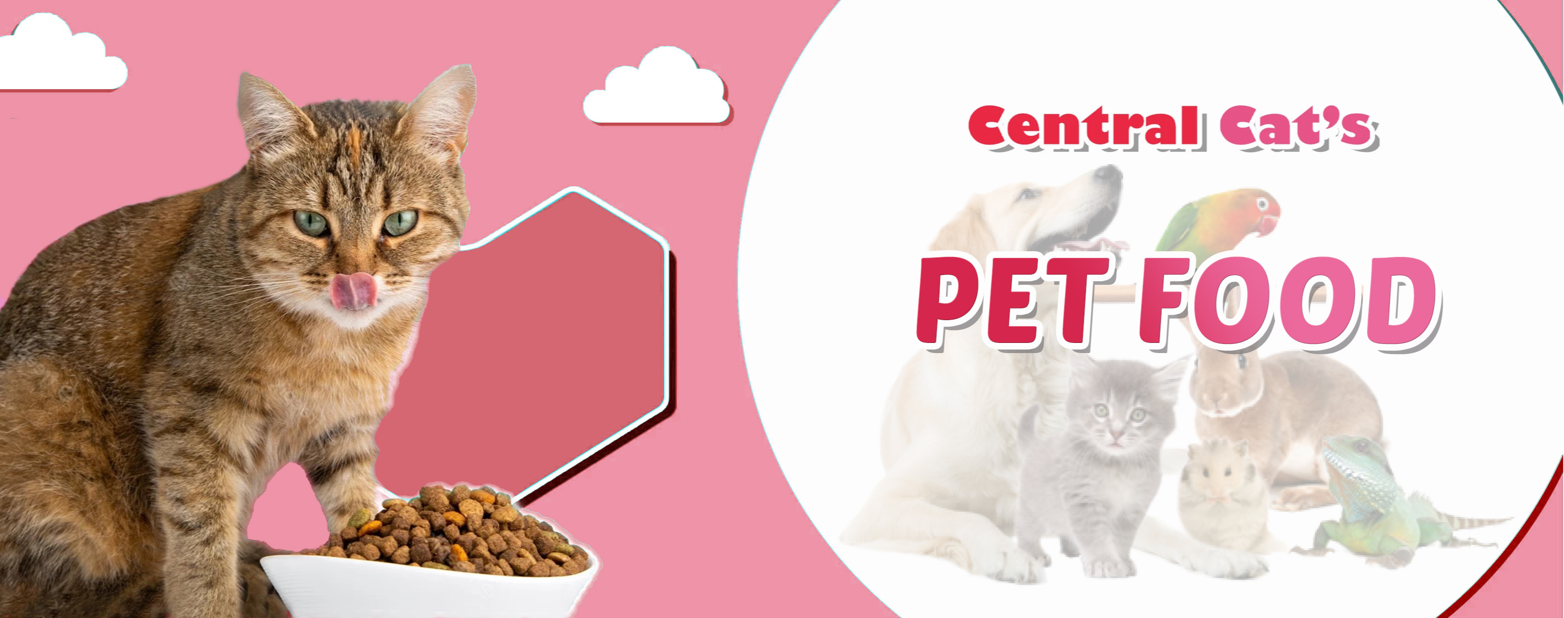 Produk Central Cats Official | Shopee Indonesia