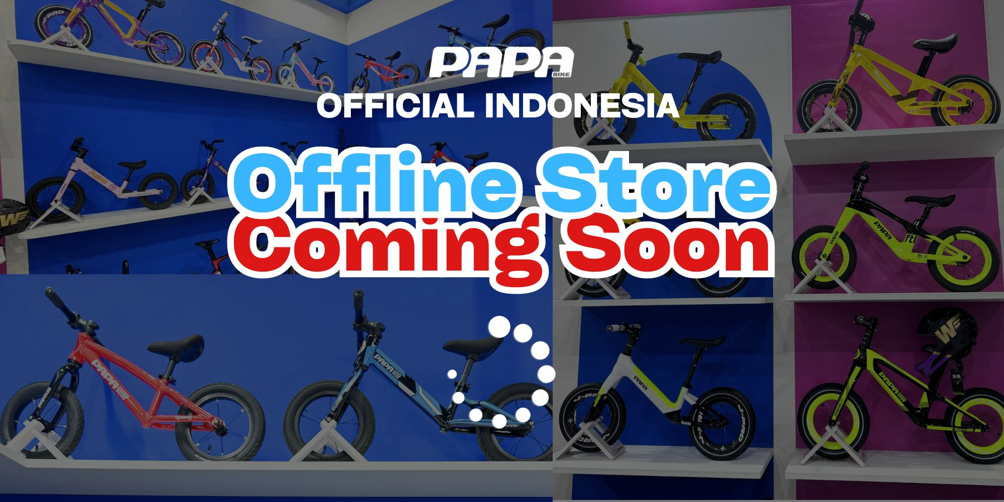 Produk PAPABIKE AUTHORIZED INDONESIA | Shopee Indonesia